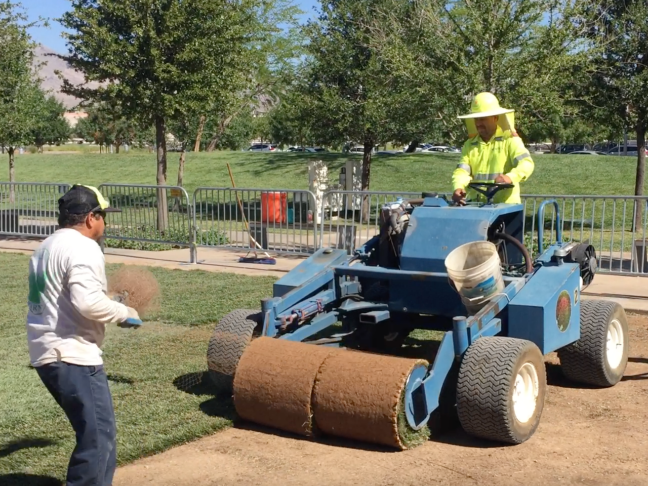 Commercial Sod for Private and Public Las Vegas Businesses