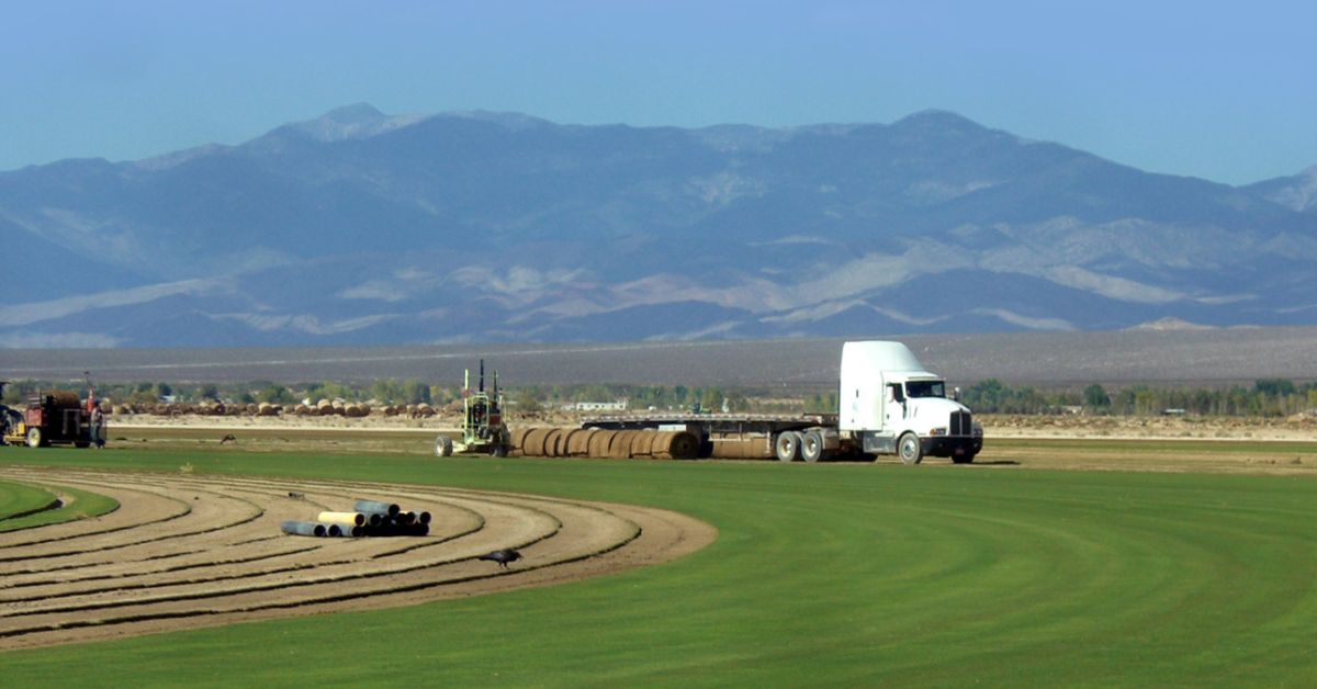 Sumerlin Sod - Valley Sod Farms Sumerlin